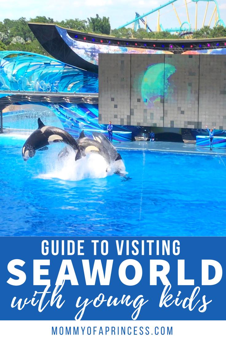 Your Best Tips for Visiting SeaWorld Orlando for Toddlers